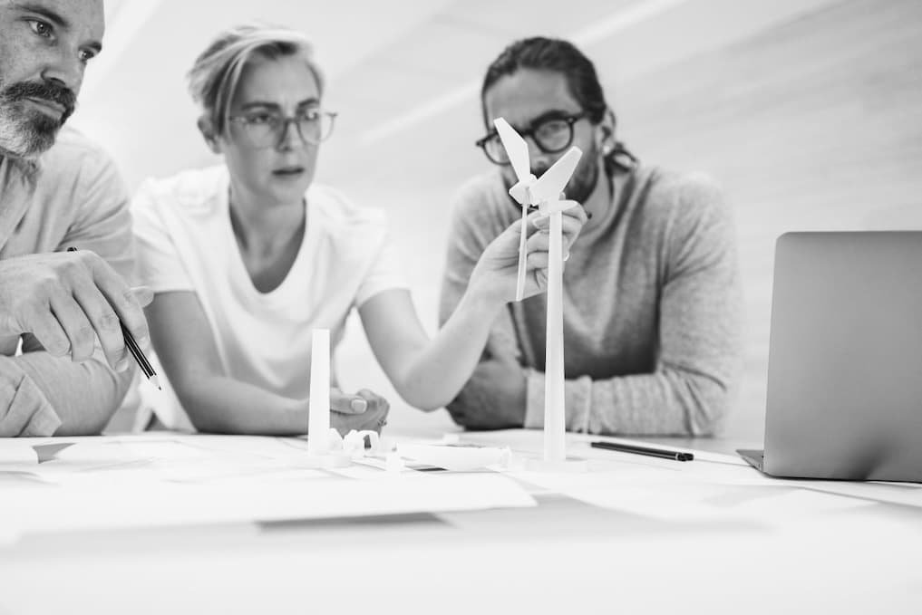 Sustainability Leadership Training with triangility